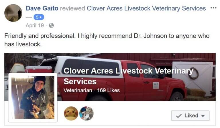 Large Animal & Farm Animal Veterinarian in Vermont